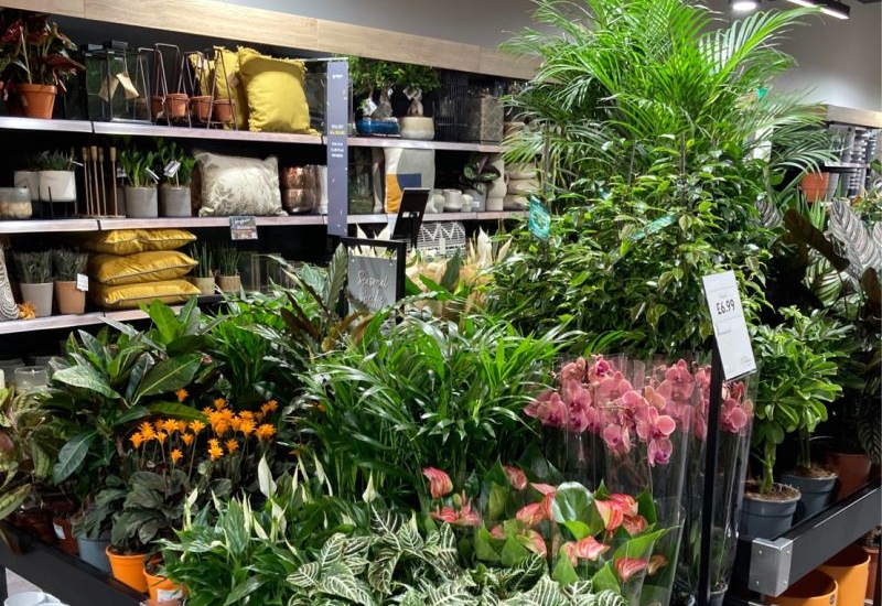 Little Dobbies Cheltenham set to open | HortWeek
