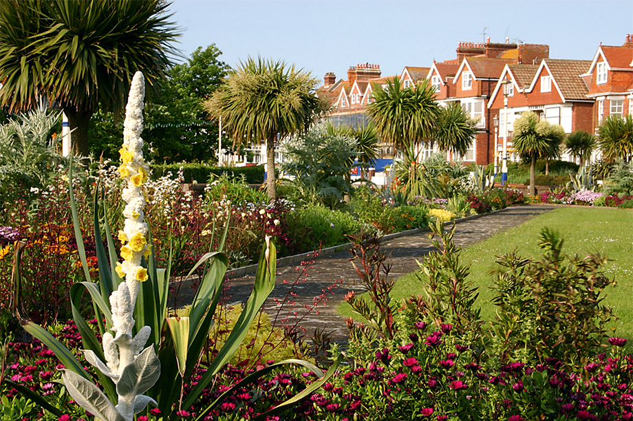 Coastal towns rethink planting schemes | HortWeek
