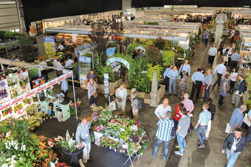 New plants set to shine at HTA National Plant Show | HortWeek