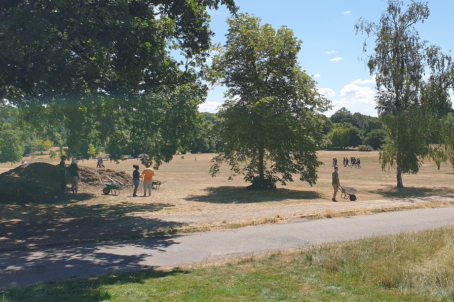 Mayor launches mass-tree planting package to combat climate change ...