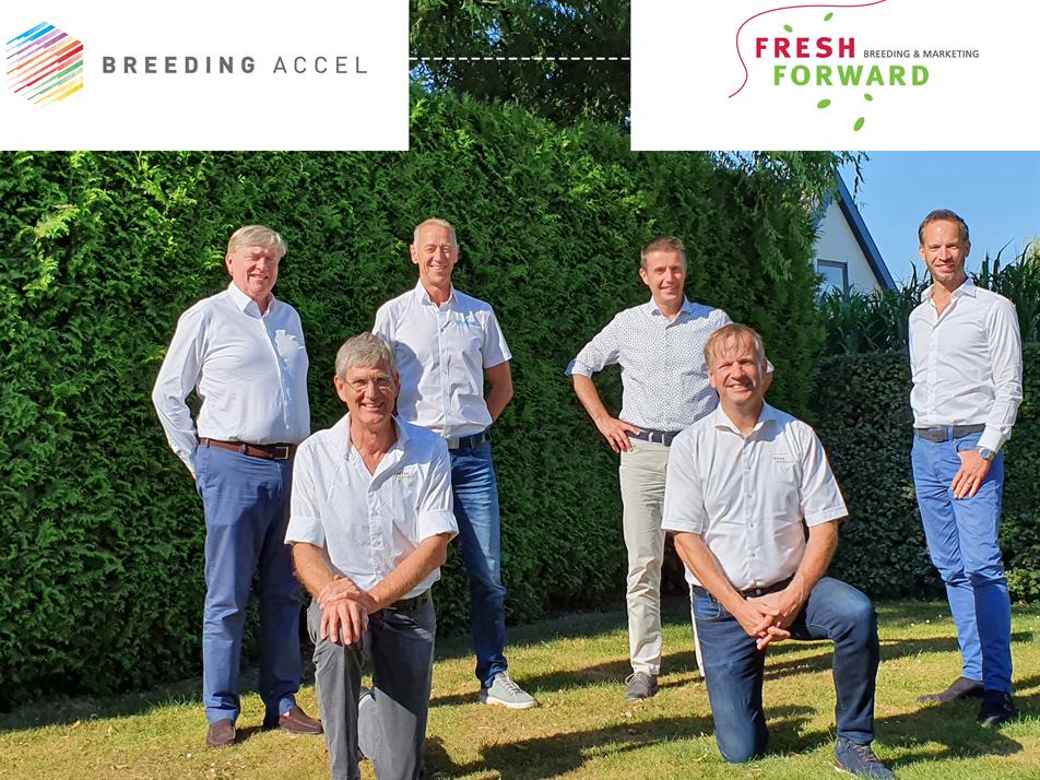 Fresh Forward Breeding joins Breeding Accel | HortWeek