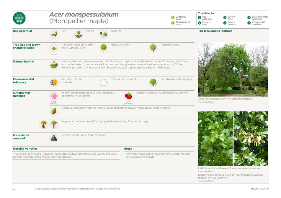 Future tree choices from leading arb academic | HortWeek