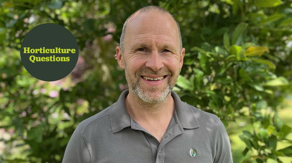 Five questions with Bulrush's Alex Julien | HortWeek