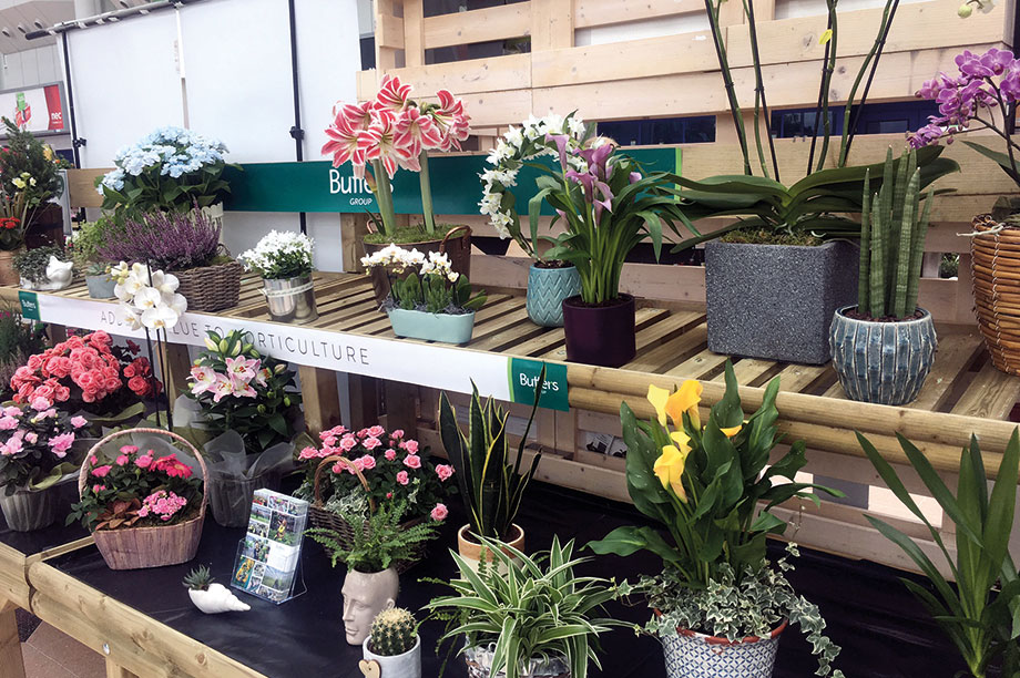 Top 70 Ornamentals Nurseries 2019: 1 - 10 | HortWeek