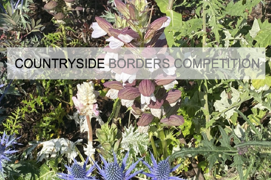 Application deadline for Countryside Borders Competition | HortWeek
