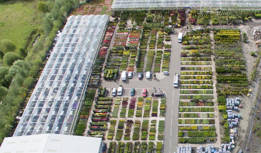 Demand huge at Craigmarloch Nurseries | HortWeek