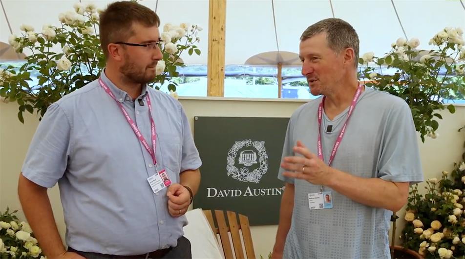 VIDEO: David Austin Roses’ Daniel Myhill on rose breeding and The King ...