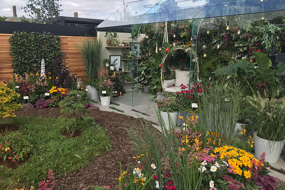 Dobbies wins five stars at RHS Chelsea Flower Show and predicts 2022 ...