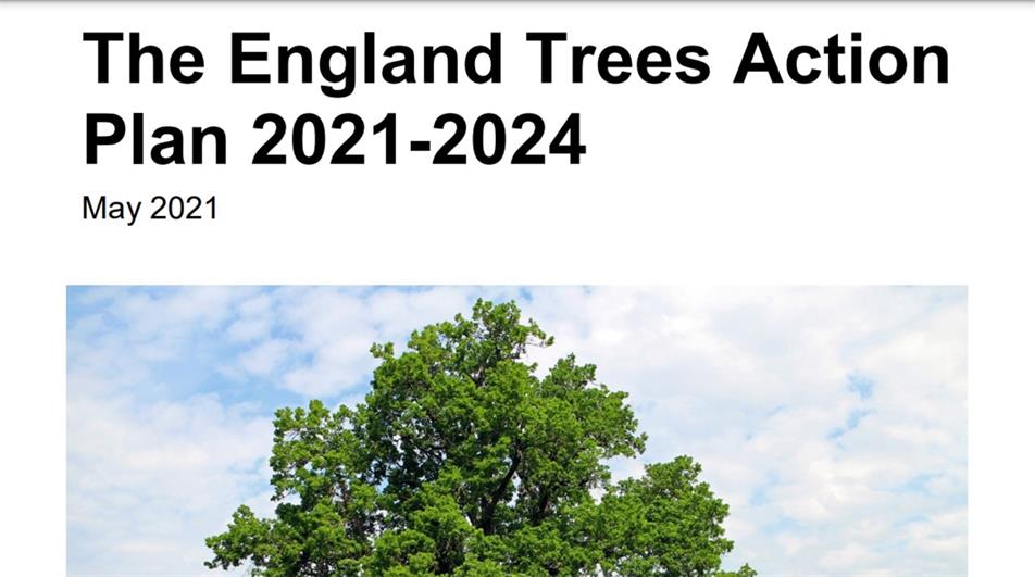 Two-thirds of England Tree Action Plan 2021-24 commitments complete ...