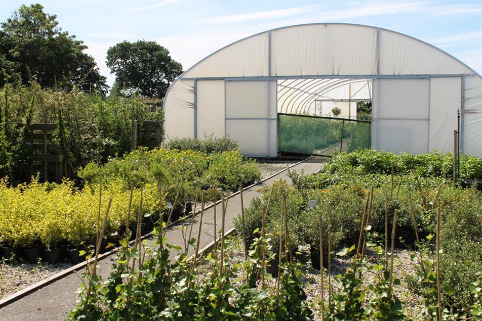 Private equity group sells Hedges Direct to chairman | HortWeek