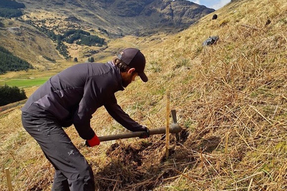 Forestry and Land Scotland planting at unstable beauty spot | HortWeek
