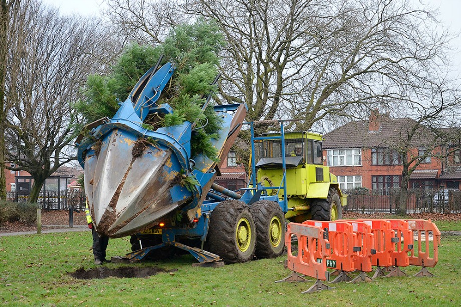 Glendale Civic Trees brings giant tree spade into play for park project ...