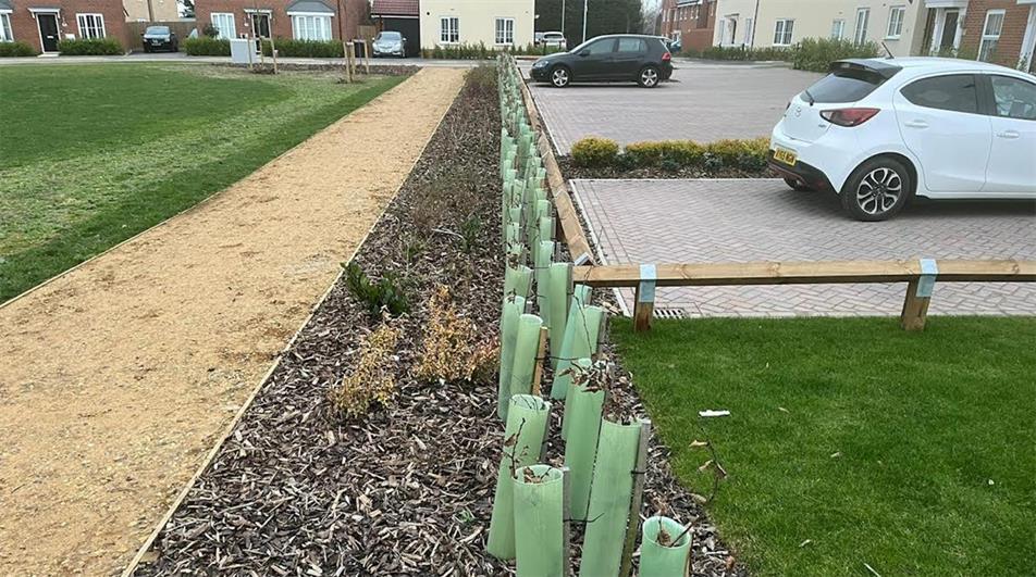 Green-tech supplies materials for tree planting around a new Wimpey ...