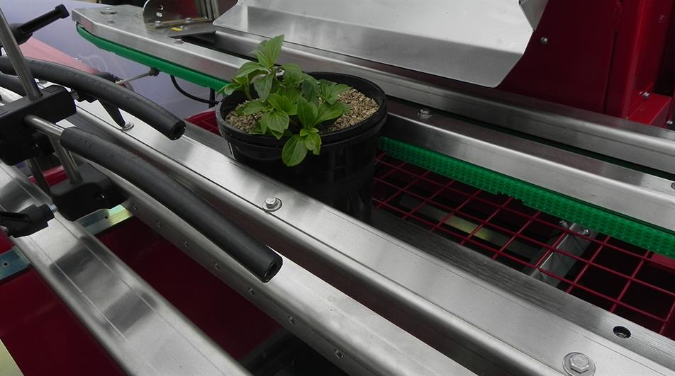 Sally Drury's nursery kit highlights from Four Oaks Trade Show 2025 ...