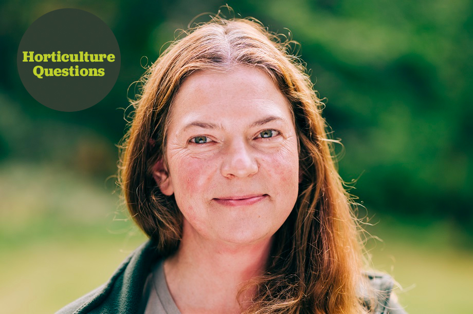 Five questions with The Royal Parks new head gardeners: Beth Handley ...