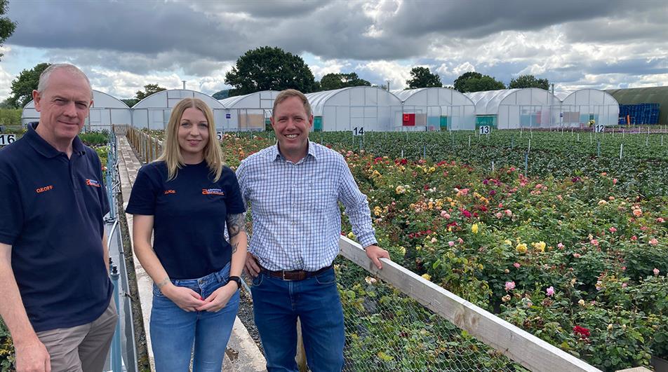 Allensmore Nurseries expansion into roses and shrubs: GALLERY | HortWeek