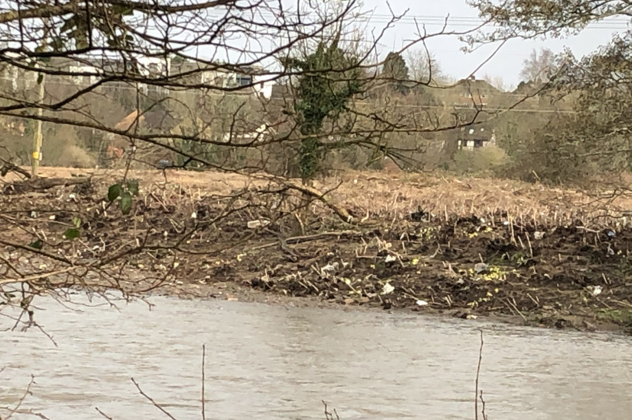 Floods spread invasive species to new areas, warns Property Care ...