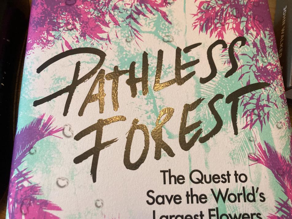 Book review: Pathless Forest: The Quest to Save the World's Largest ...