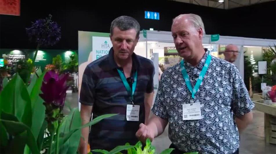 Andy Bunker reviews National Plant Show plants of the year from a ...
