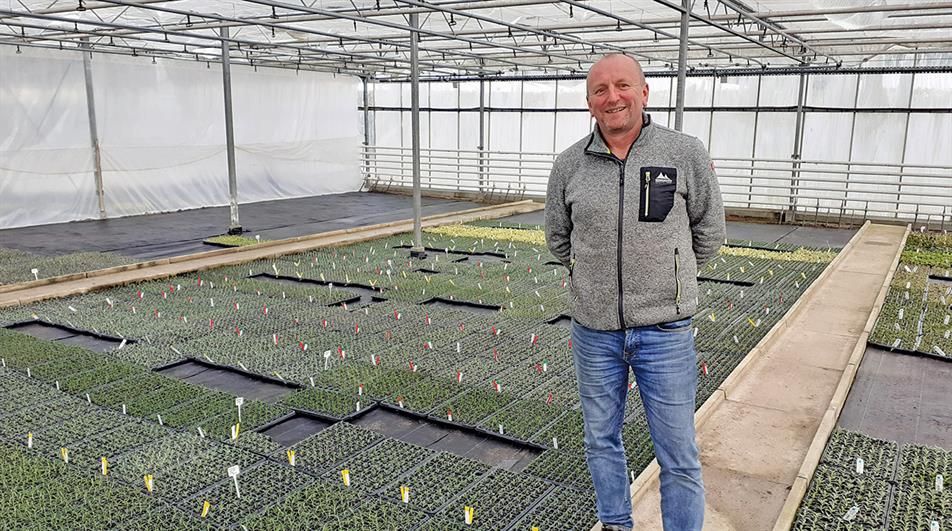 Plants People: Neil Alcock retraces his career at Seiont Nurseries ...
