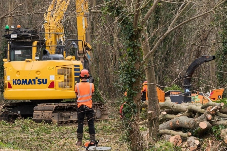 Connick Tree Care preserves wildlife among dying ash | HortWeek