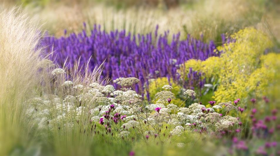 2023 RHS Botanical Art & Photography Show at Saatchi Gallery | HortWeek