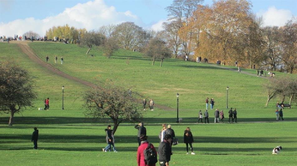 Open Spaces Society opposes Royal Parks’ plans for gating of Primrose ...