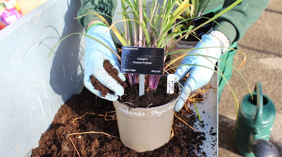 Pub and prison both awarded National Plant Collection status | HortWeek