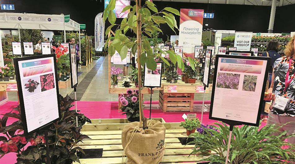 HTA National Plant Show plant of the year named: WATCH Pippa Greenwood ...