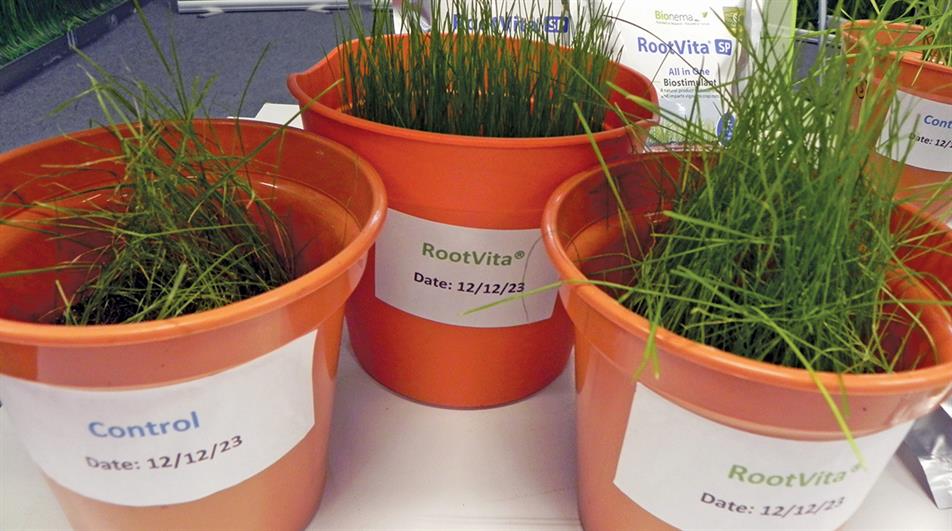 How to maximise turf nutrient uptake while minimising costs | HortWeek How to maximise turf nutrient uptake while minimising costs | HortWeek