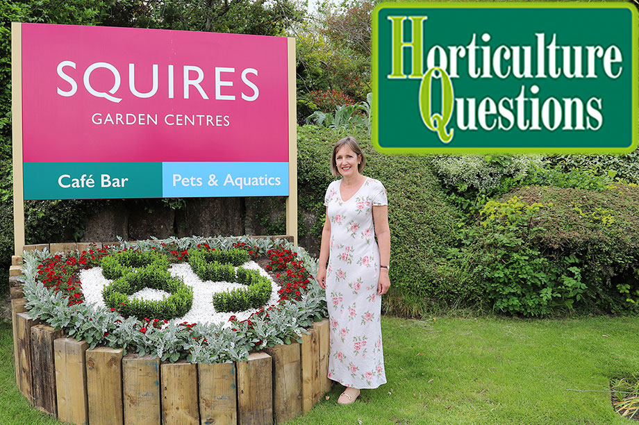 Six questions with Sarah Squire on Squire's Garden Centres 85th ...