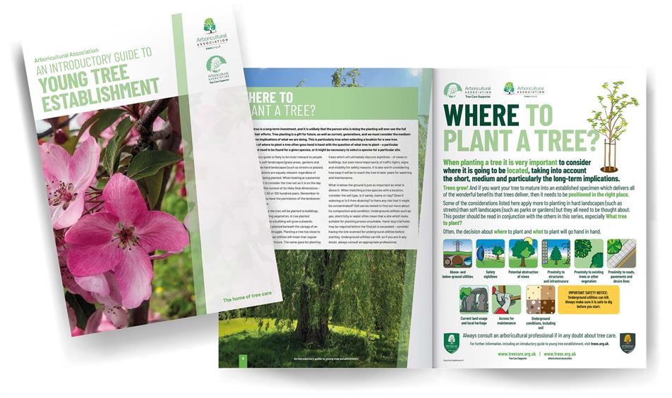 New tree care guide published by the Arboricultural Association | HortWeek