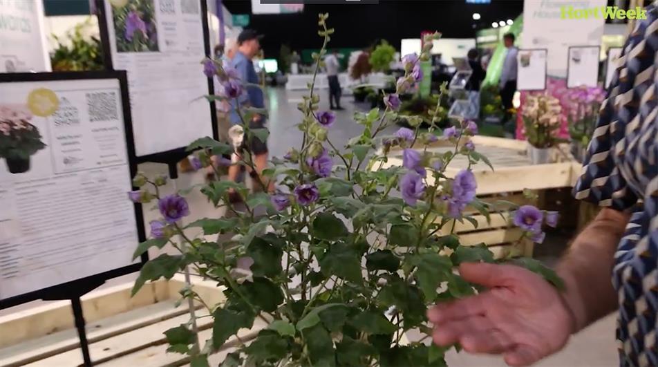 Andy Bunker on the New Plant award-winners at National Plant Show 2024 ...