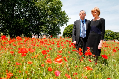 Lord Mayor tours West Ham Park poppy garden