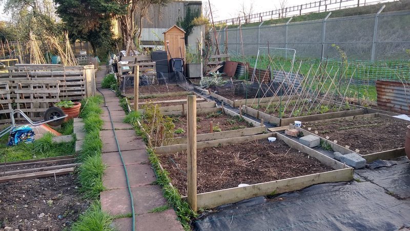 Petition launched to save London allotments | HortWeek