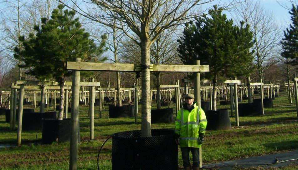 Hillier unveils its new amenity website | HortWeek