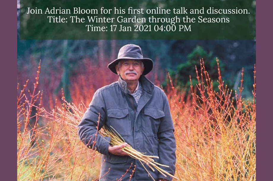Adrian Bloom plans Zoom winter talk | HortWeek