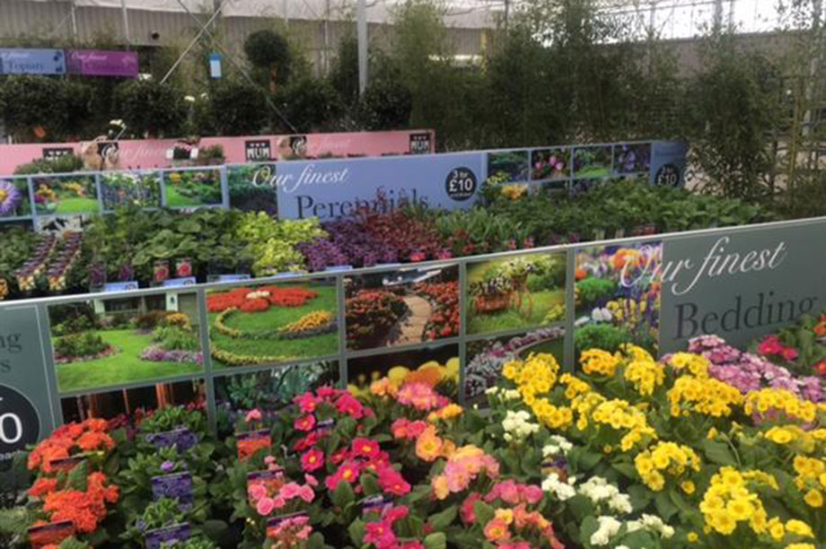Allensmore Nurseries pleased with 2020 financial performance | HortWeek