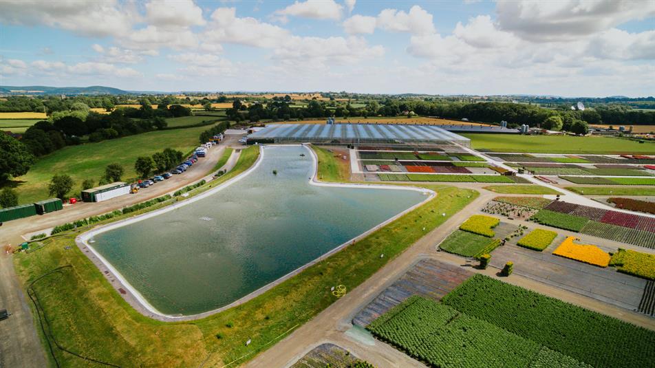 Allensmore Nurseries applies to expand production to meet demand for ...