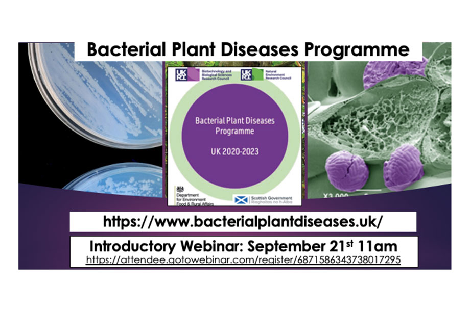 Plant Health Week hears of bacterial plant diseases projects | HortWeek