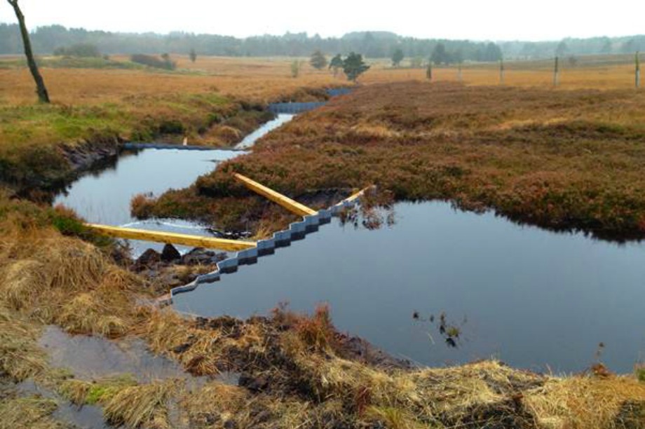 Charity installs 1000th dam across damaged peat bog | HortWeek