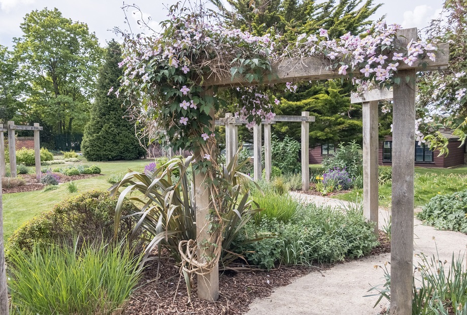 Seven Guildford parks recognised as some of the country’s best | HortWeek