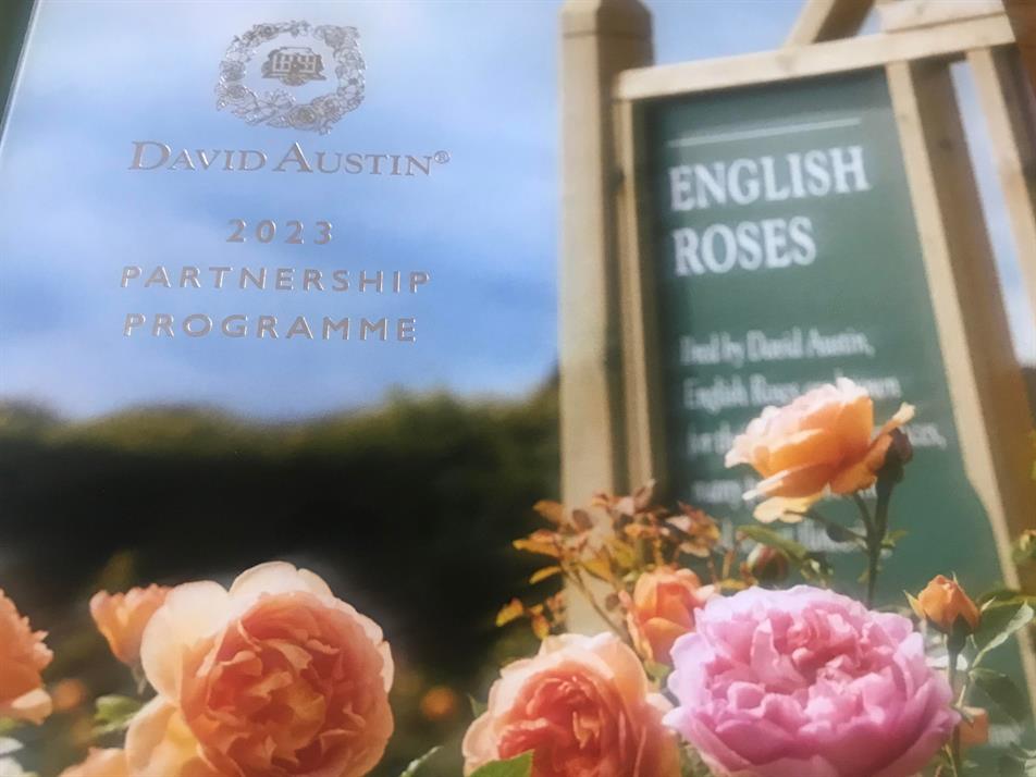 David Austin Roses 'new era' partnership programme for wholesale supply ...