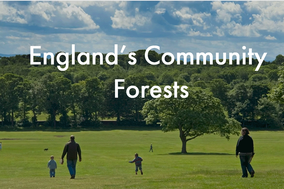 New Community Forest to be created in the North East | HortWeek