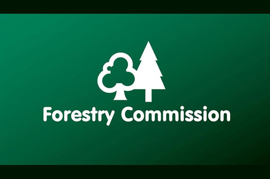 £15 million woodland creation grant opens for applications | HortWeek