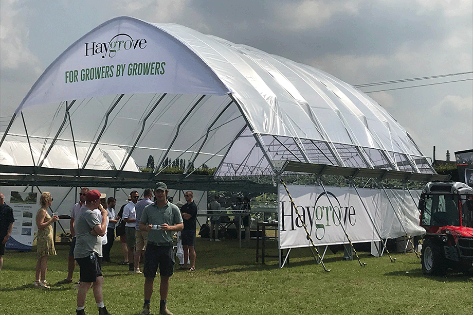 Haygrove sees success while embedding triple bottom line into business ...