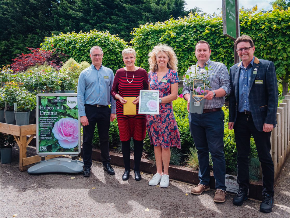 New ‘Hopes and Dreams’ rose named by the public to mark 125 years of ...