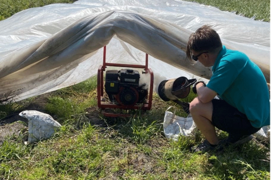 Peter Seabrook Foundation/ BPOA scholarship reports on Merriments ...