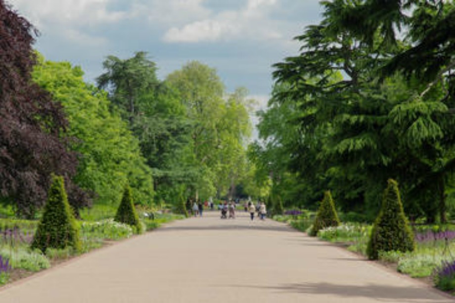 Prince Charles becomes Kew patron as broad walk borders open | HortWeek