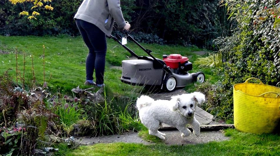 DIY and garden accident injury data revealed | HortWeek